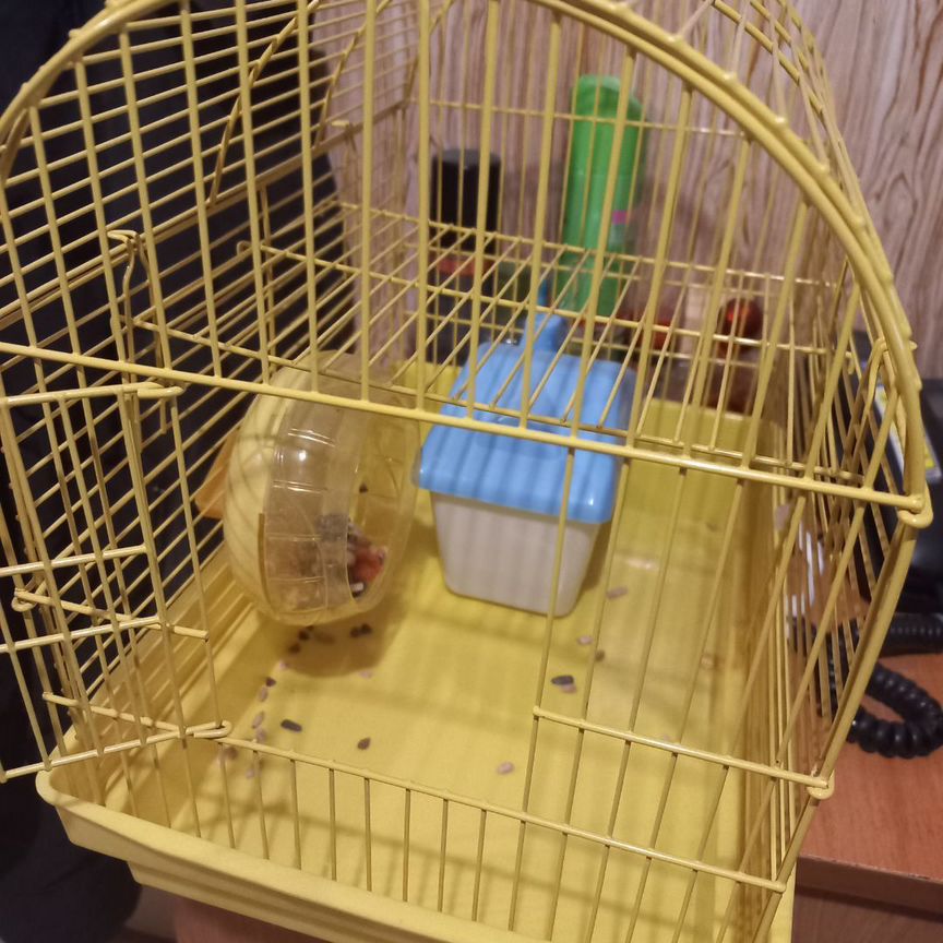 Клетка для грызунов