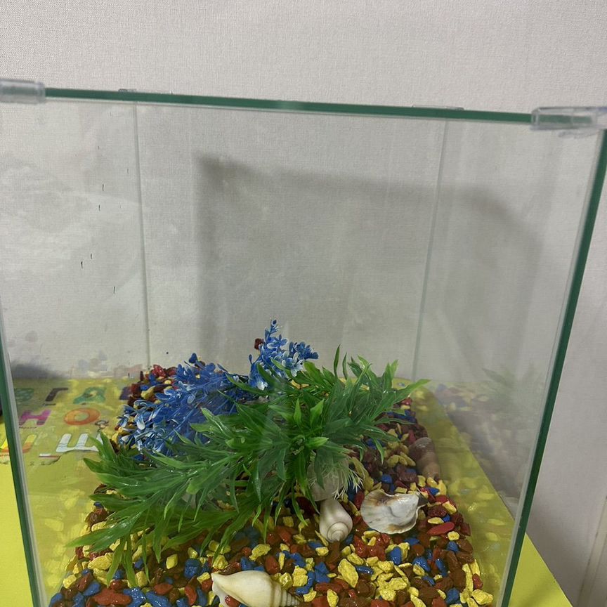 Аквариум куб 10 литров