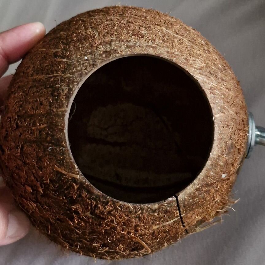 Кокосовый домик