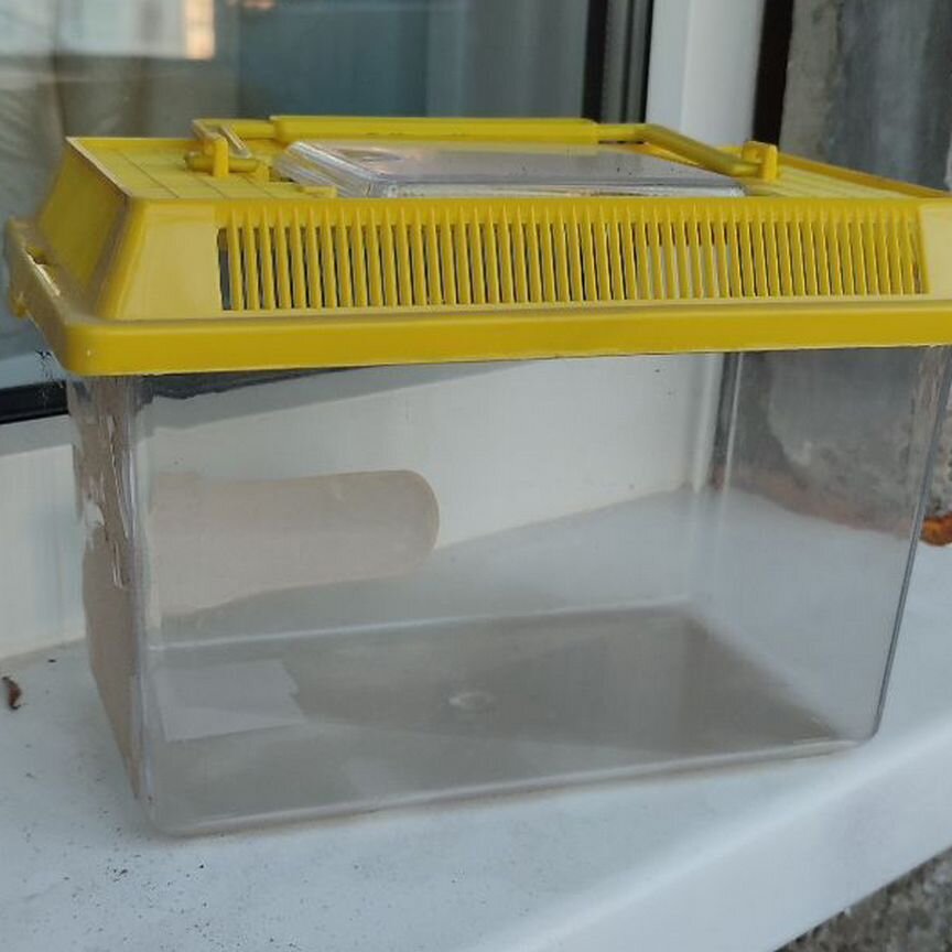 Переноска прямоугольная