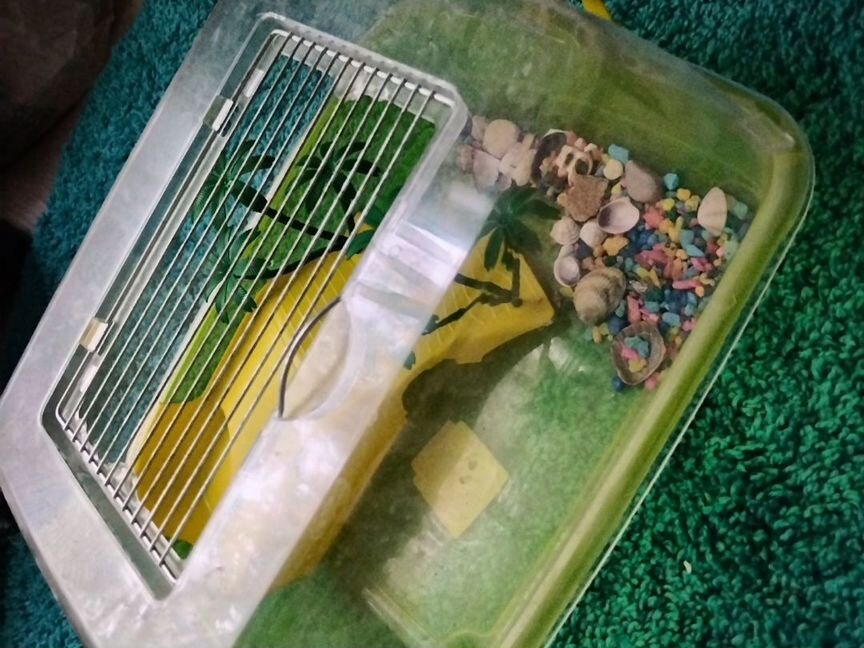 Террариум для черепахи