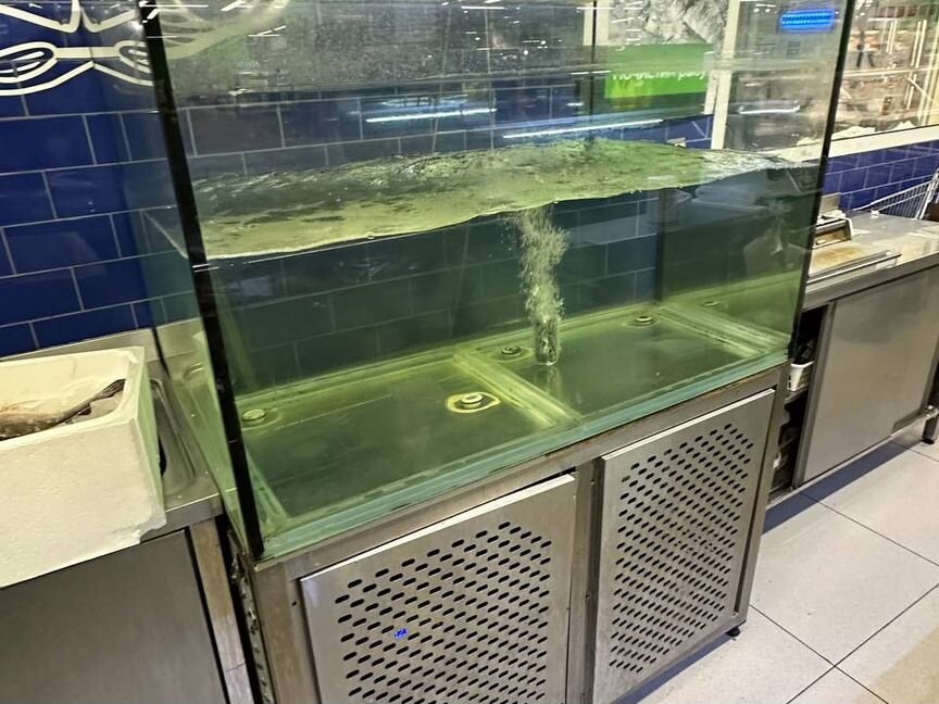 Аквариум