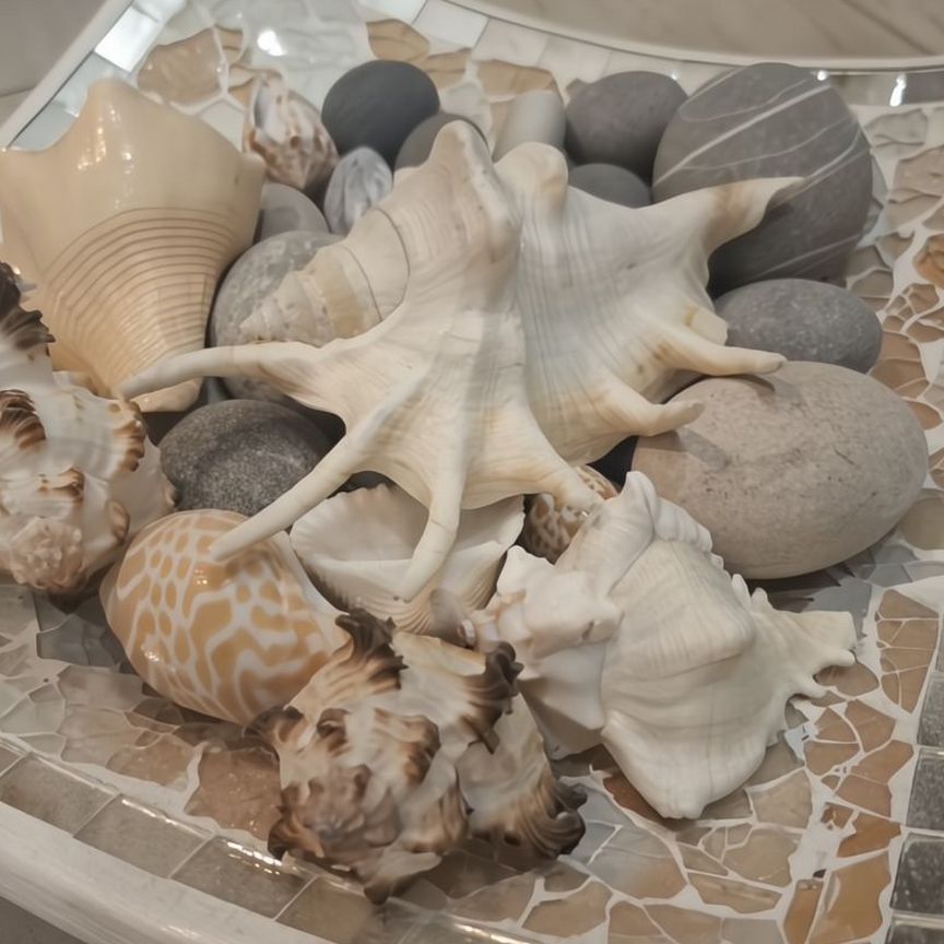 Морские камни и ракушки