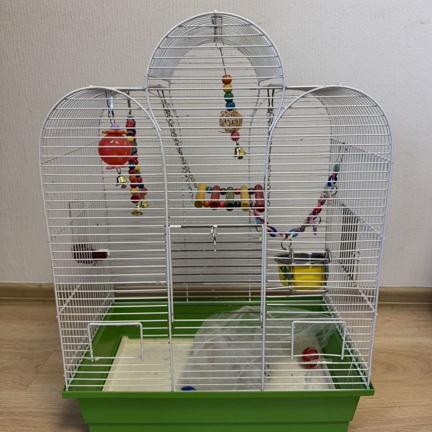 Клетка для попугая бу
