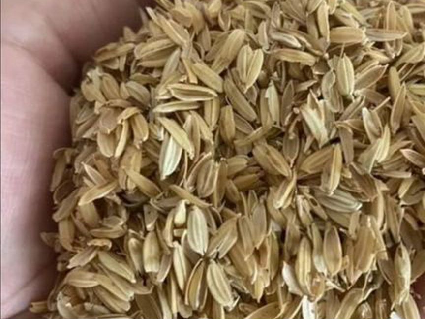 Овсяная шелуха, зерно отходы ячменя овса и гороха