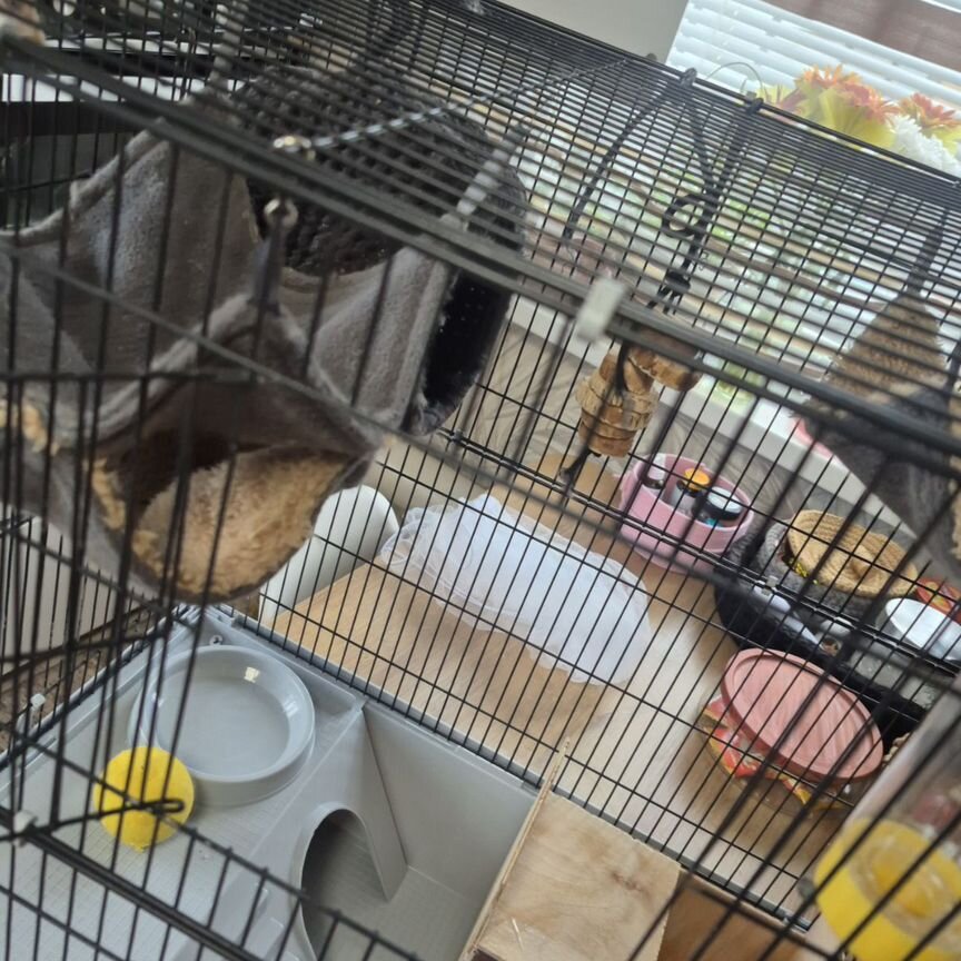 Клетка для грызунов