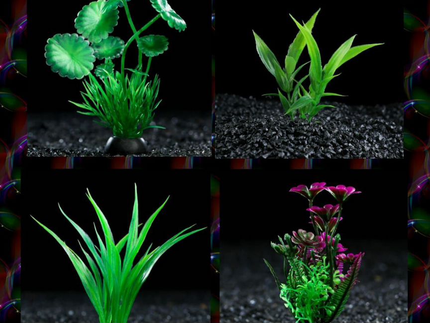 Набор аквариумных растений