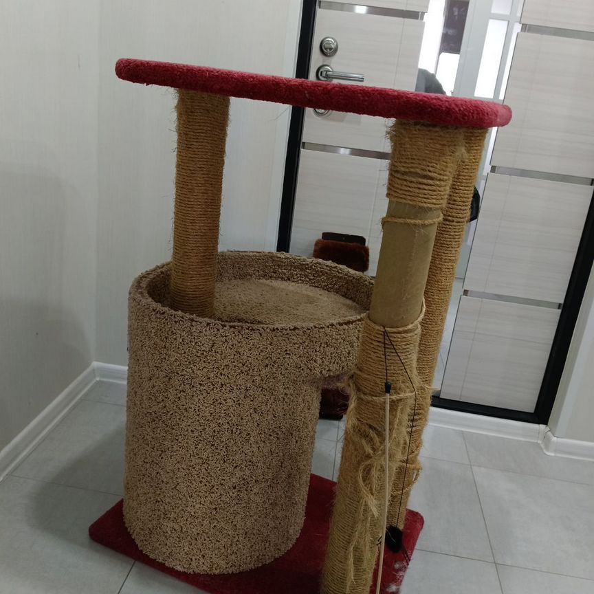 Когтеточка с домиком бу калуга