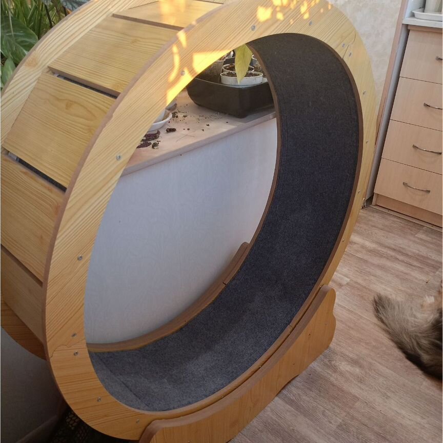 Беговой колесо для кошек