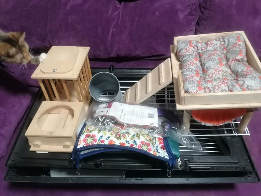 Клетка для морской свинки