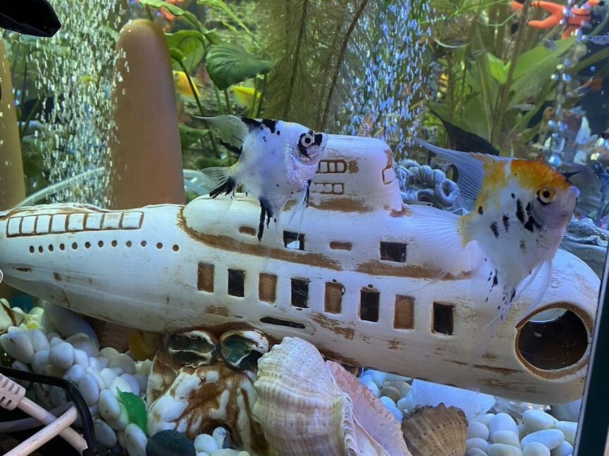 Аксессуары для аквариума