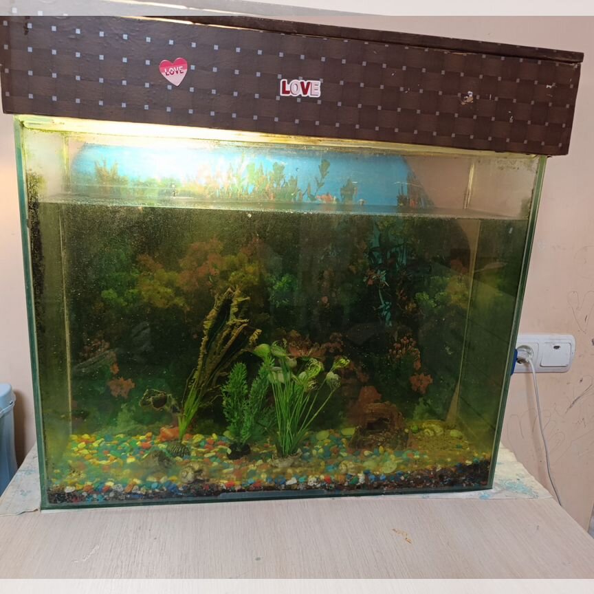 Аквариум 70л
