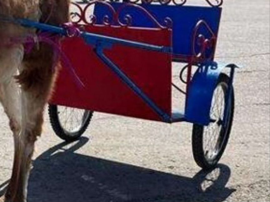 Двухколка для пони