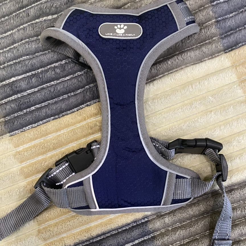 Шлейка для собаки. Анатомичемкая. Размер М