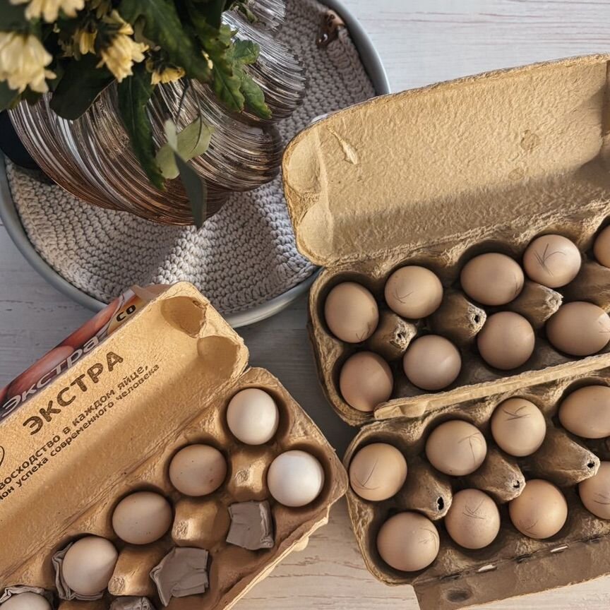 Инкубационное яйцо карликовый кохинхин