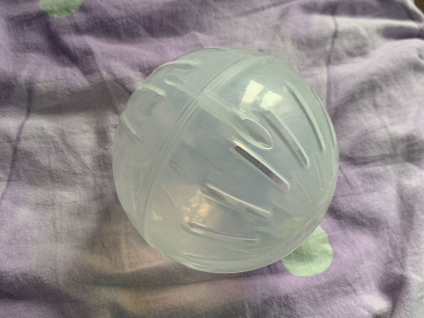 Прогулочный шар для грызунов