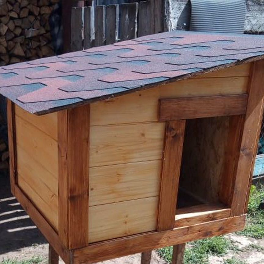 Собачья будка