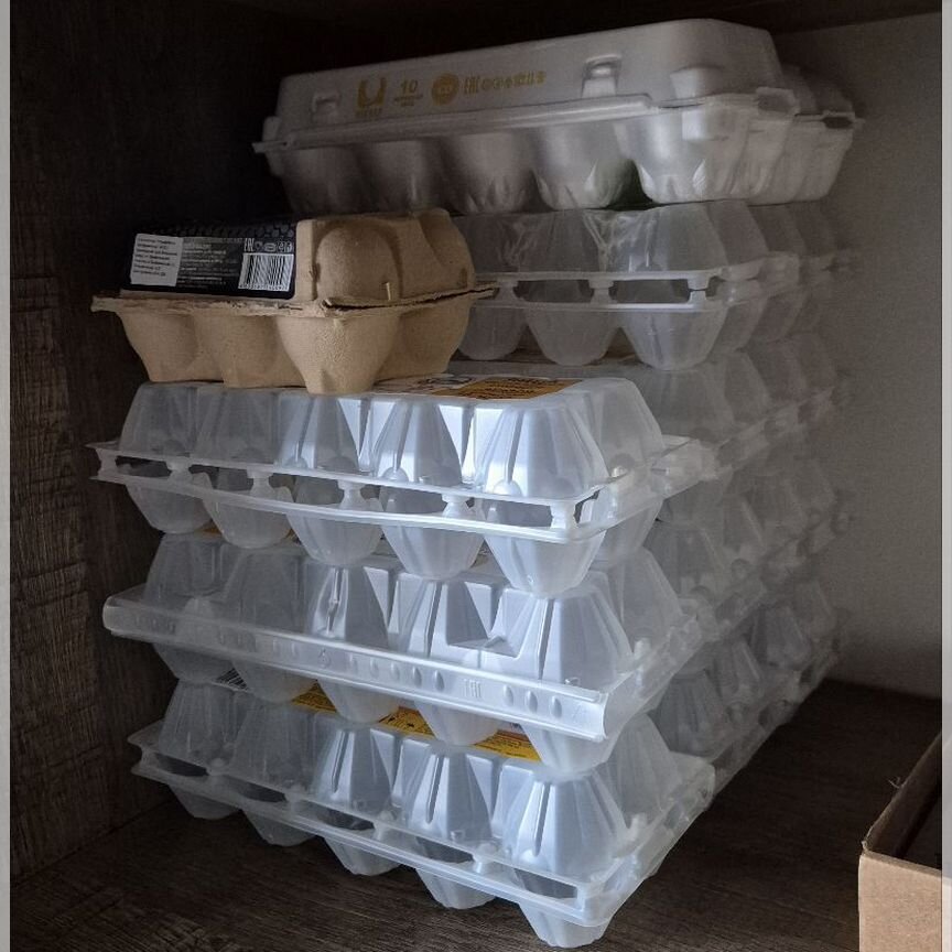 Отдам ячейки для яиц