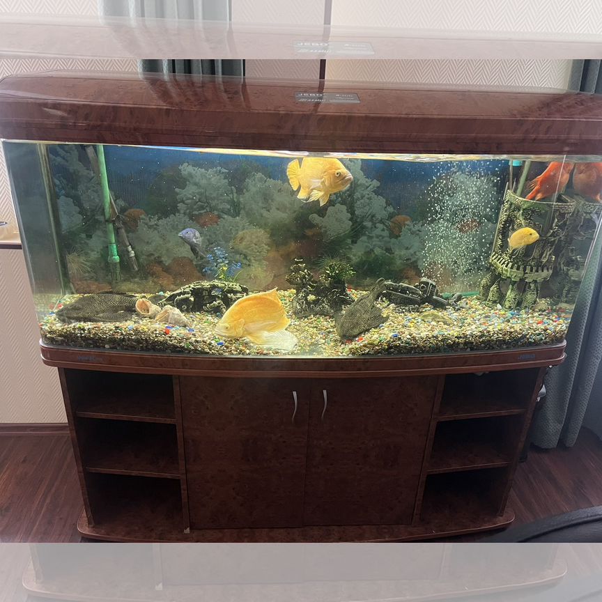 Аквариум с тумбой jebo 395л и фильтром lagona