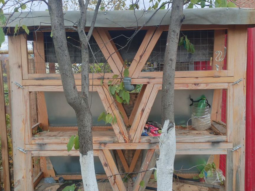 Крольчатник