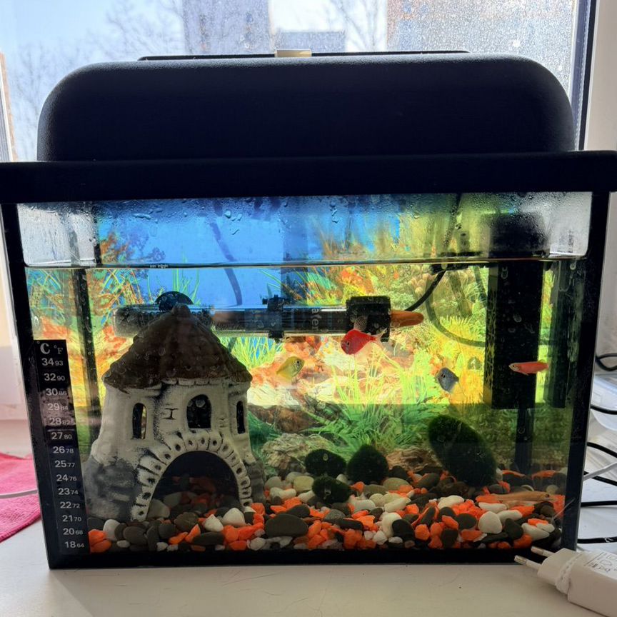 Аквариум с рыбками