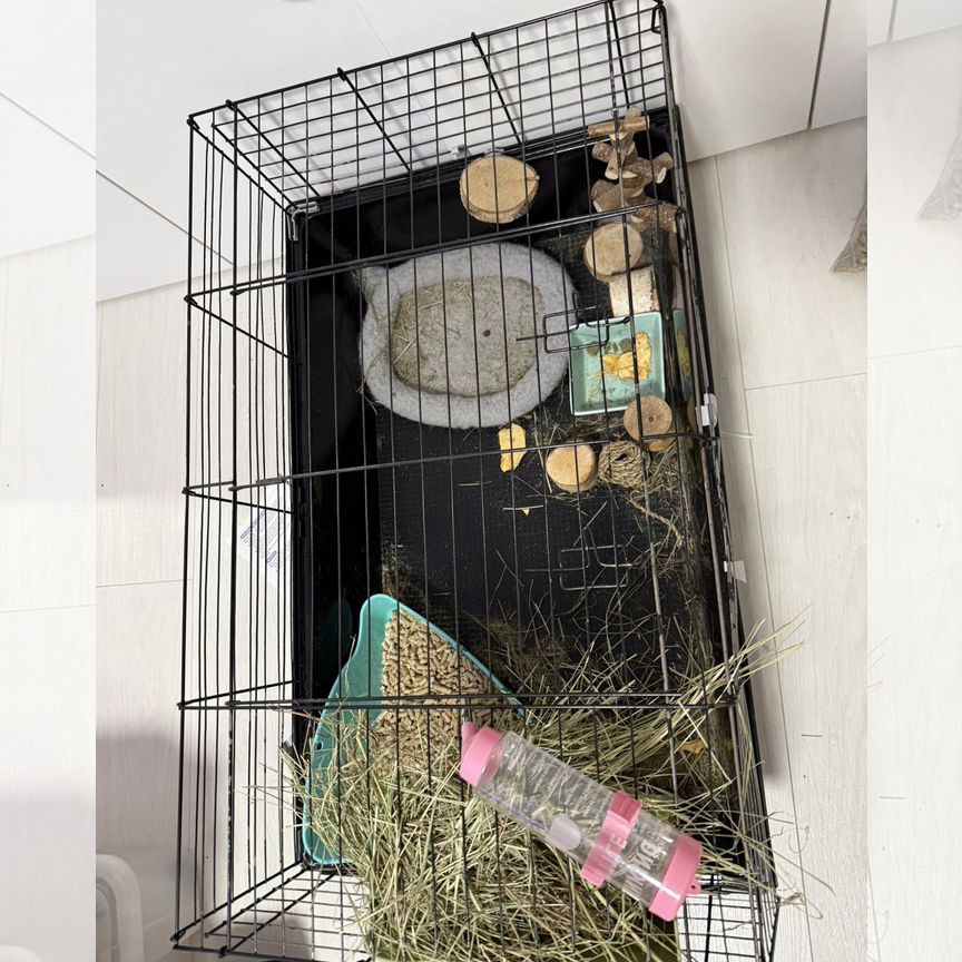 Клетка для кролика