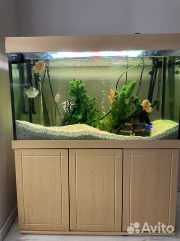 Аквариум с тумбой 480 литров