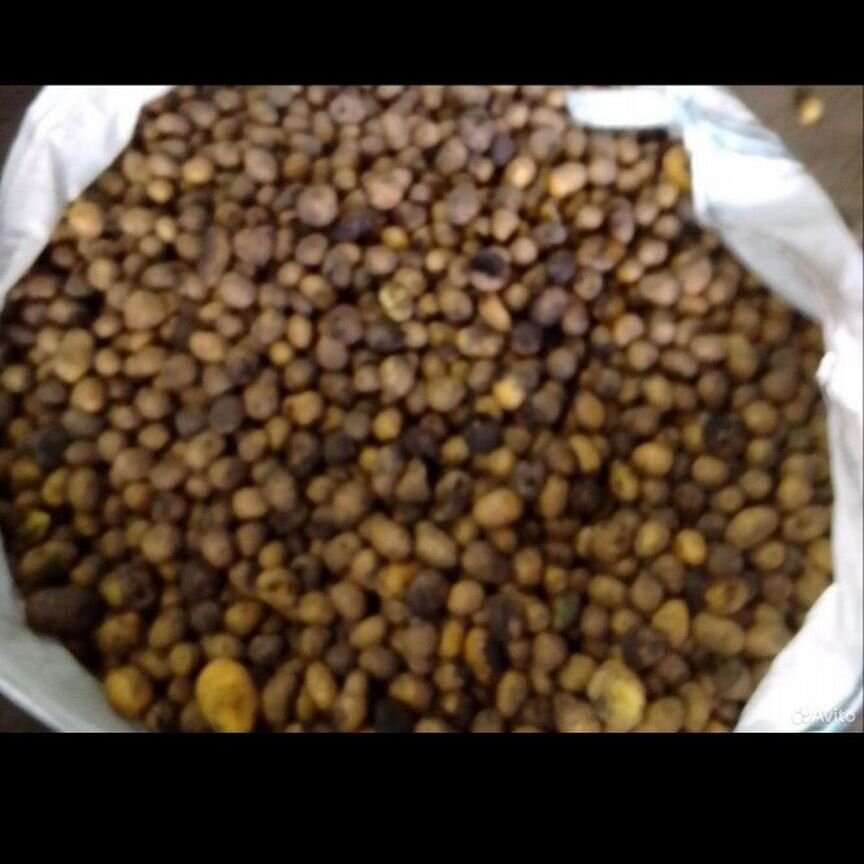 Мелкая картошка на корм скоту