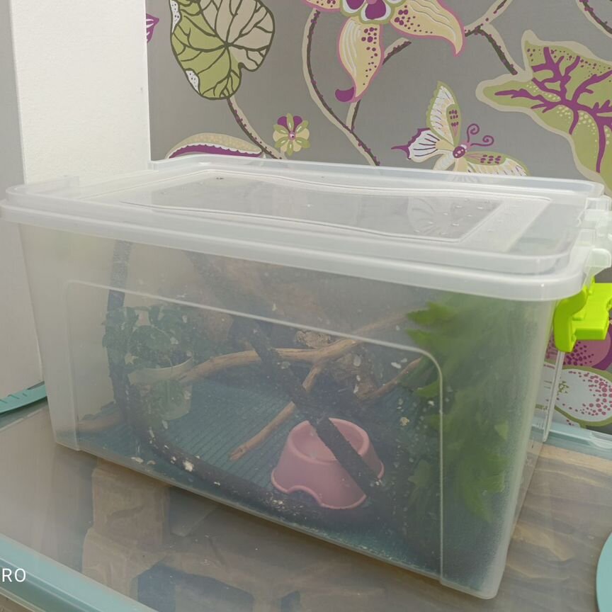 Контейнер террариум