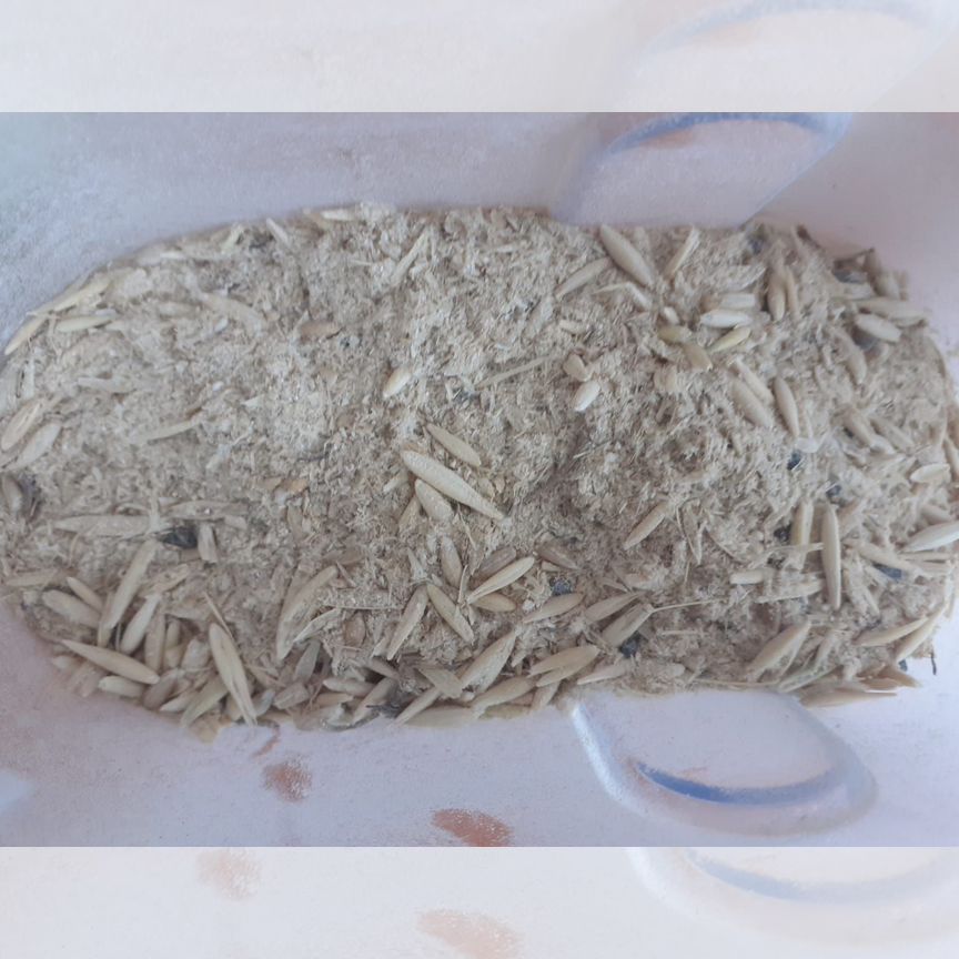 Кормовой зернопродукт 2 категории (овсяный)