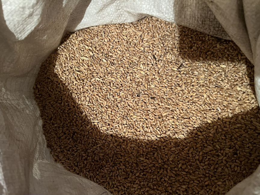 Комбикорм для животных