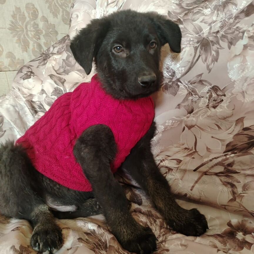 Филя мальчик 2,5 мес