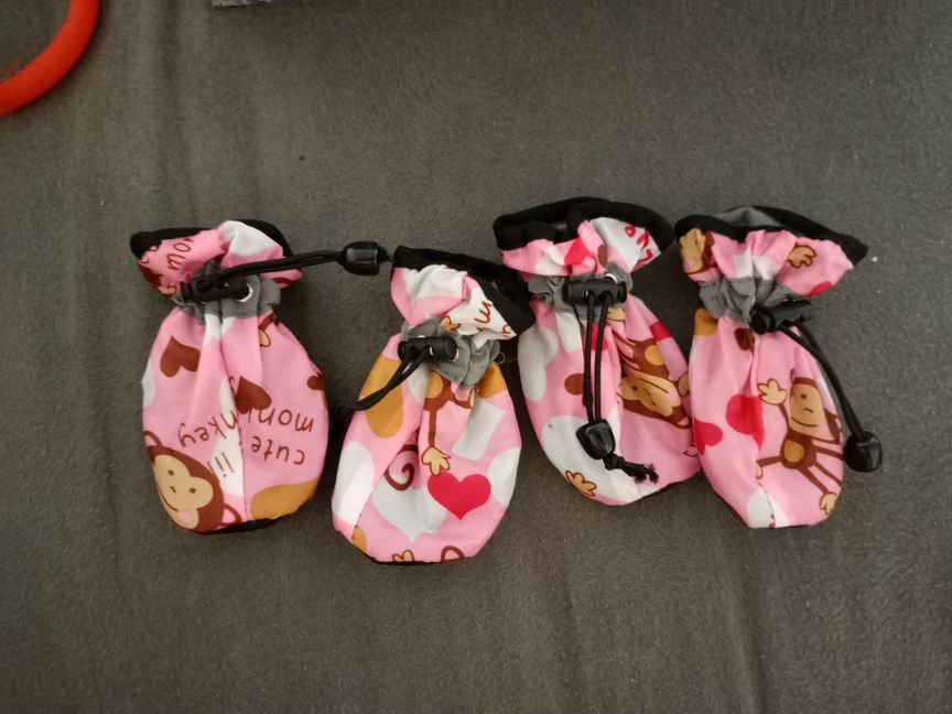 Обувь для собак