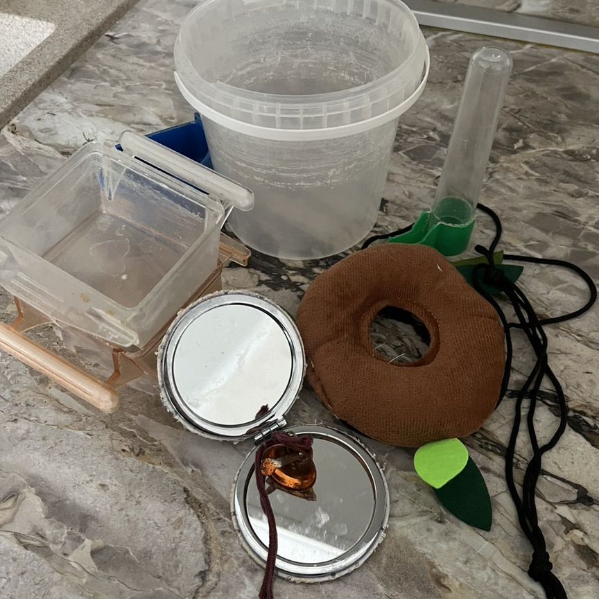 Для попугая