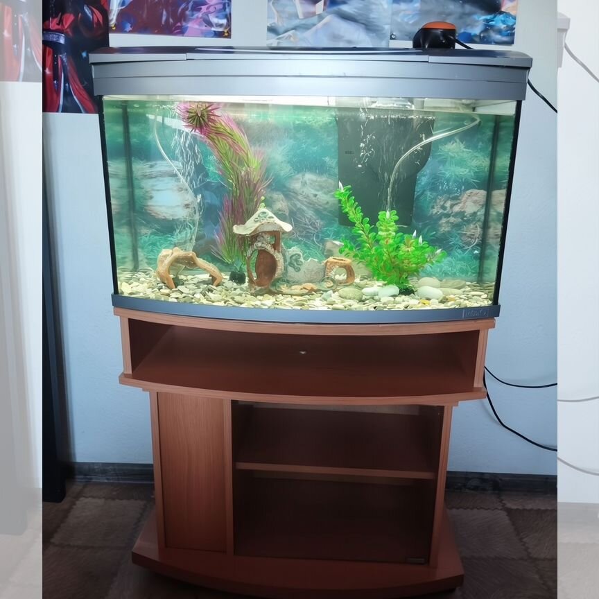 Аквариум панорамный tetra. Полный комплект