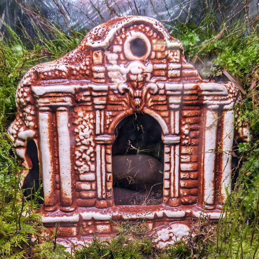 Аквариумы и Террариумы (готовое решение)