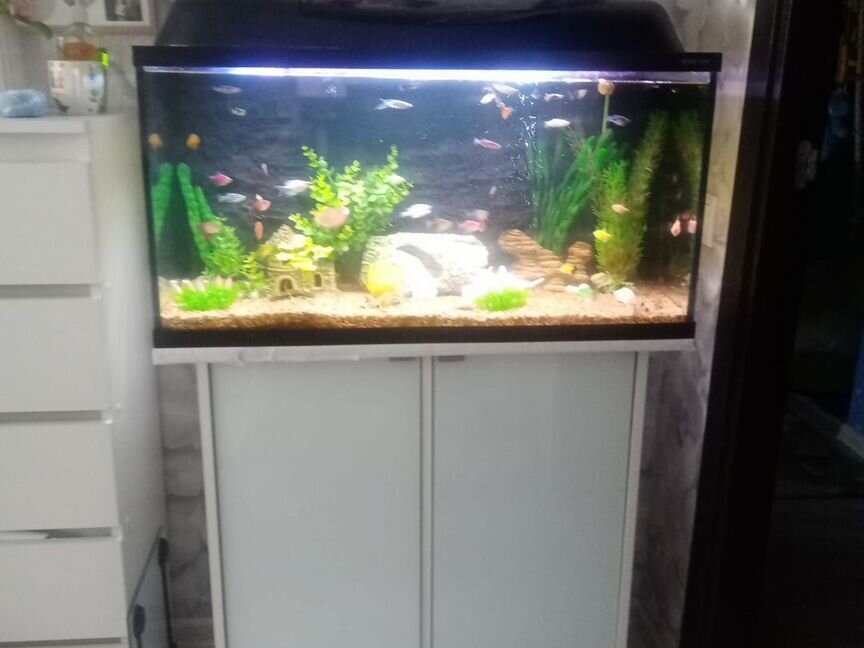 Аквариум 80л