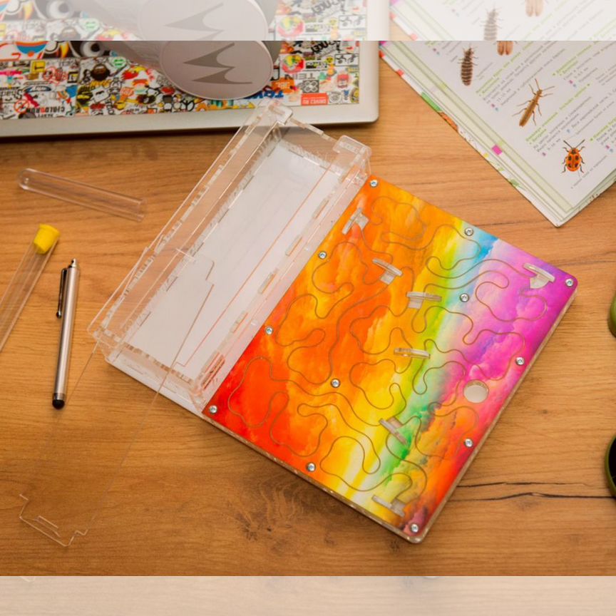 Формикарий/ Подарок для ребенка/ Муравьиная ферма