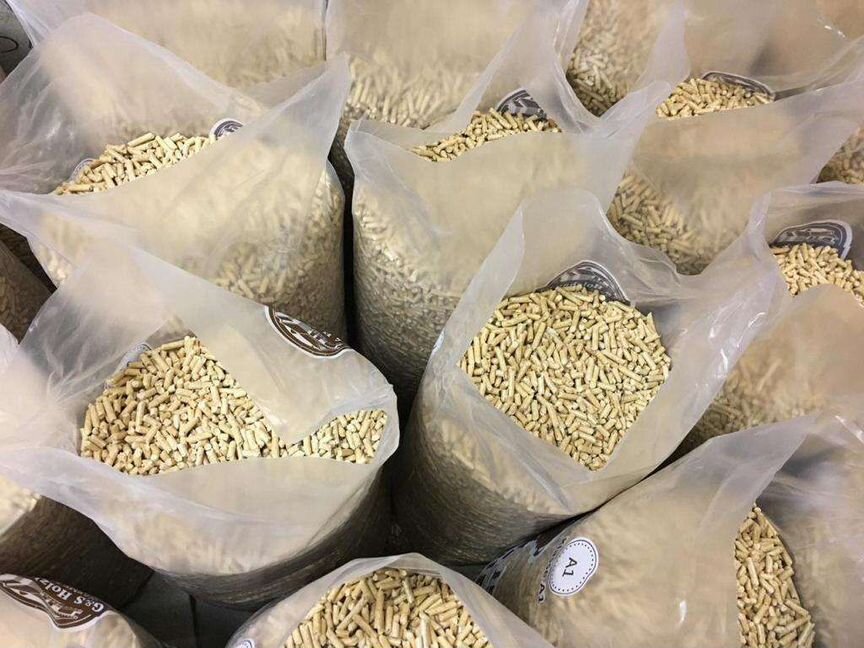 Кошачий туалет