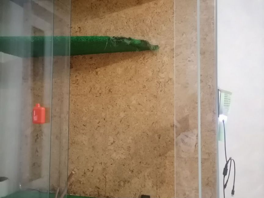 Огромный террариум