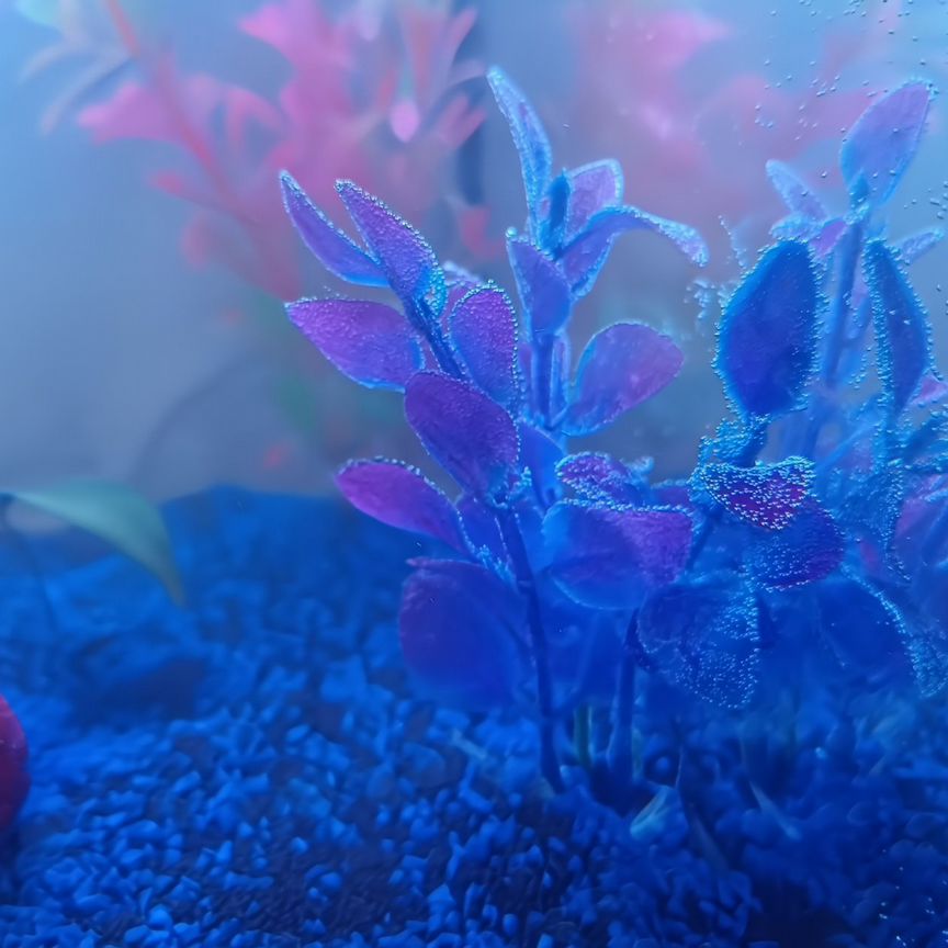 Аквариум с рыбками