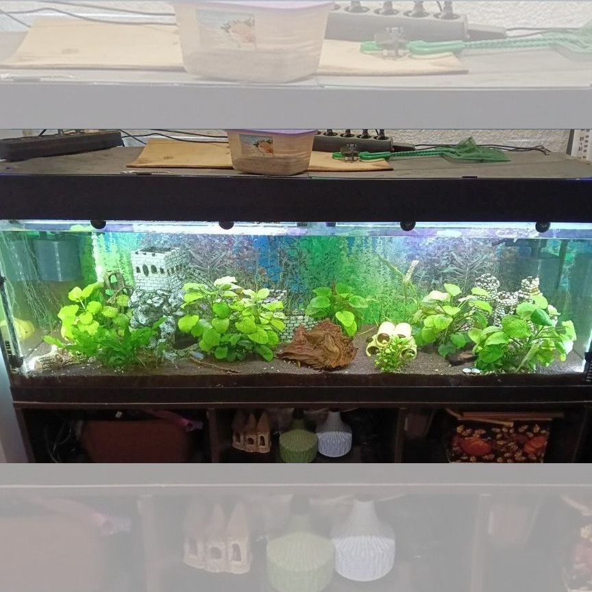 Аквариум с тумбой бу