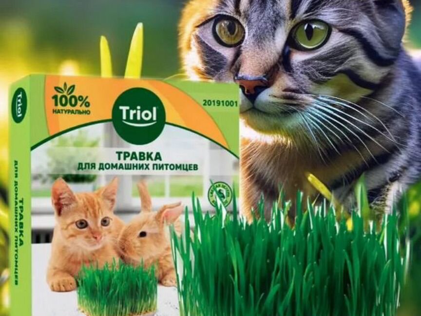 Травка для домашних питомцев Triol