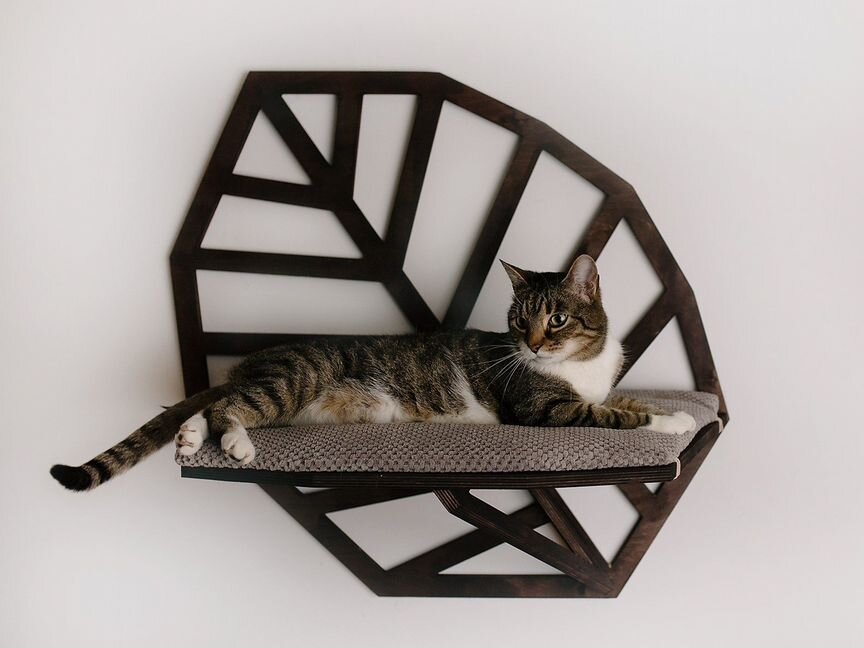 Настенная полочка для кошек