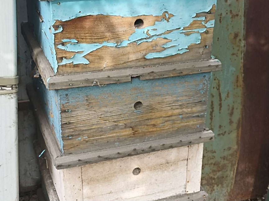 Продам улики