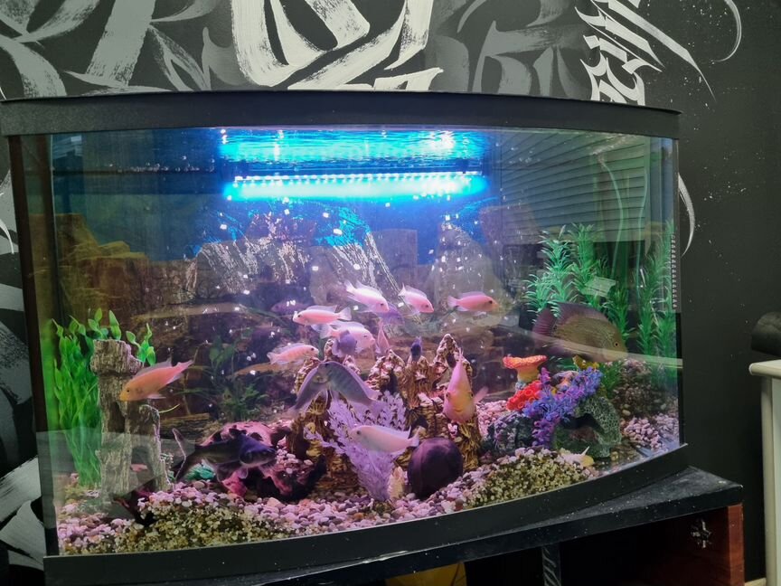 Украшение для аквариума