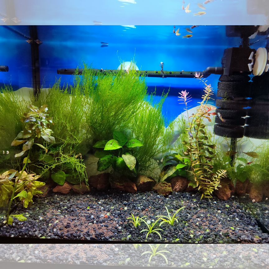 Аквариум Aquaplus 35л