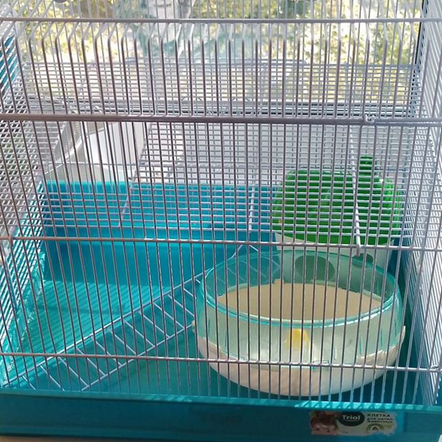 Клетка для джунгарского хомяка
