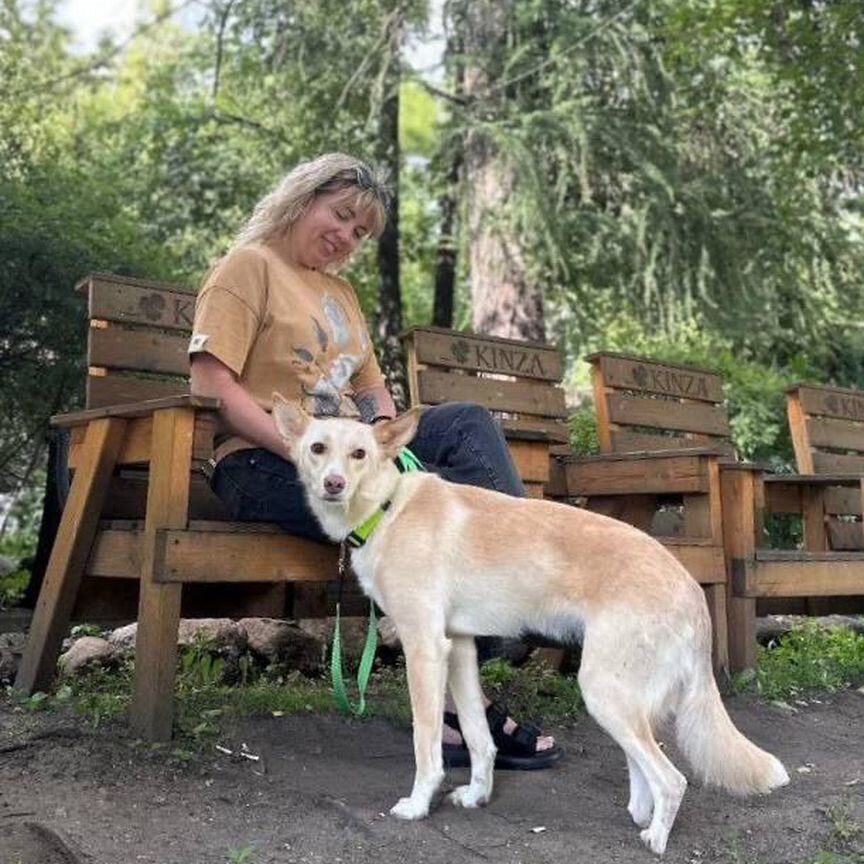 Собака инвалидик хочет быть любимой, в добрые руки