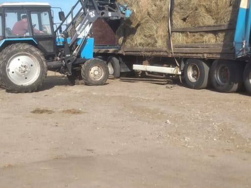 Сено Оптом с доставкой